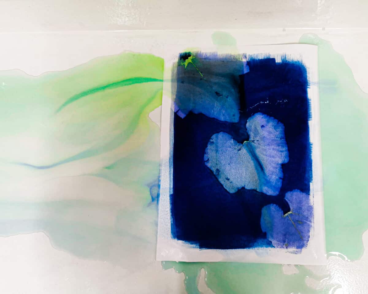 How to make Cyanotypes on Paper? | Step by Step Tutorial + VIDEO