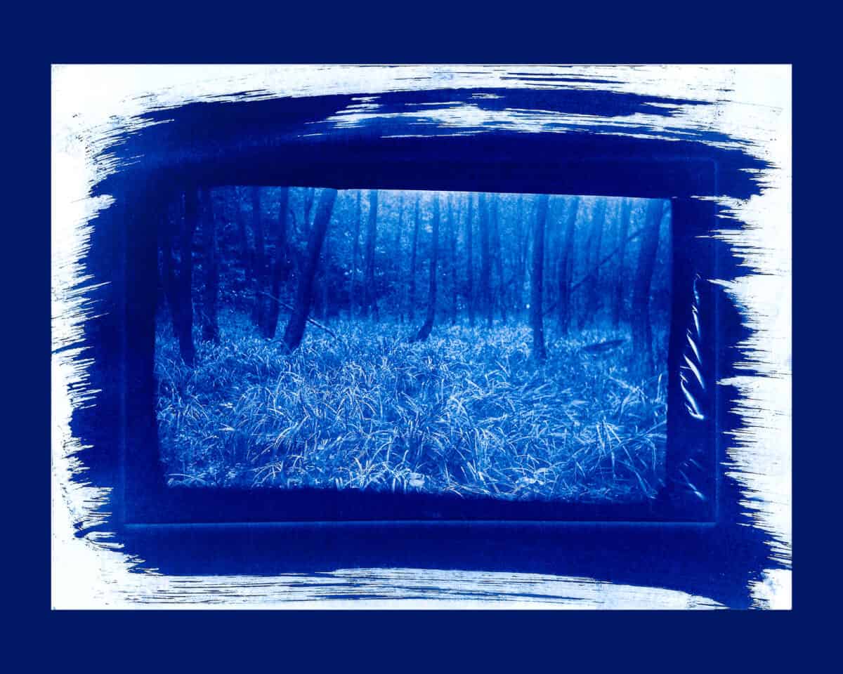 Cyanotype Contact Printing from glass Dry-Plate + PRINT GIVEAWAY!