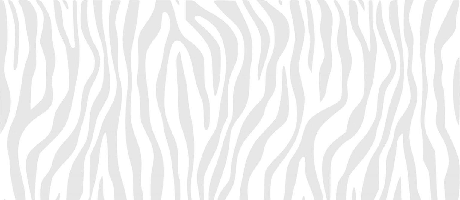 Salt print - Detailed Step by Step Walkthrough | Zebra Dry Plates