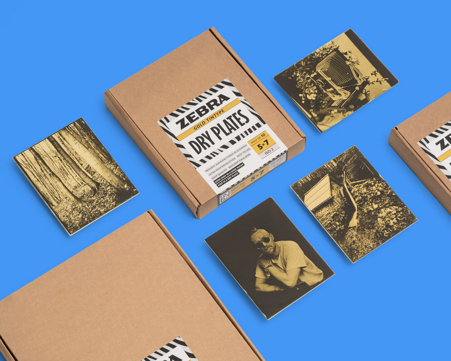 Zebra 4x5 Golden Dry Plate Tintypes | Limited Edition, Ready to use