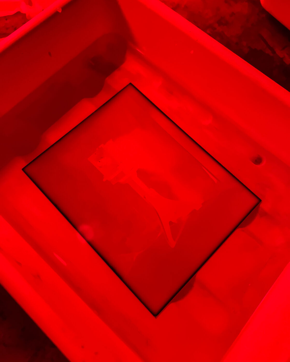 ZEBRA DRY PLATE TINTYPES - In Detail Users Manual