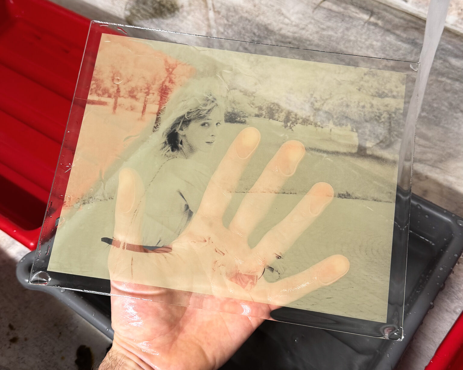 Zebra Dry Plates | Discover the Magic of Dry Plate Photography